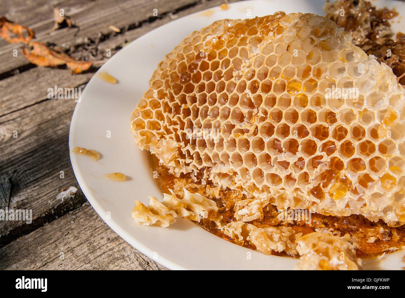 White plate with section of wax honeycomb from beehive on the vintage ...