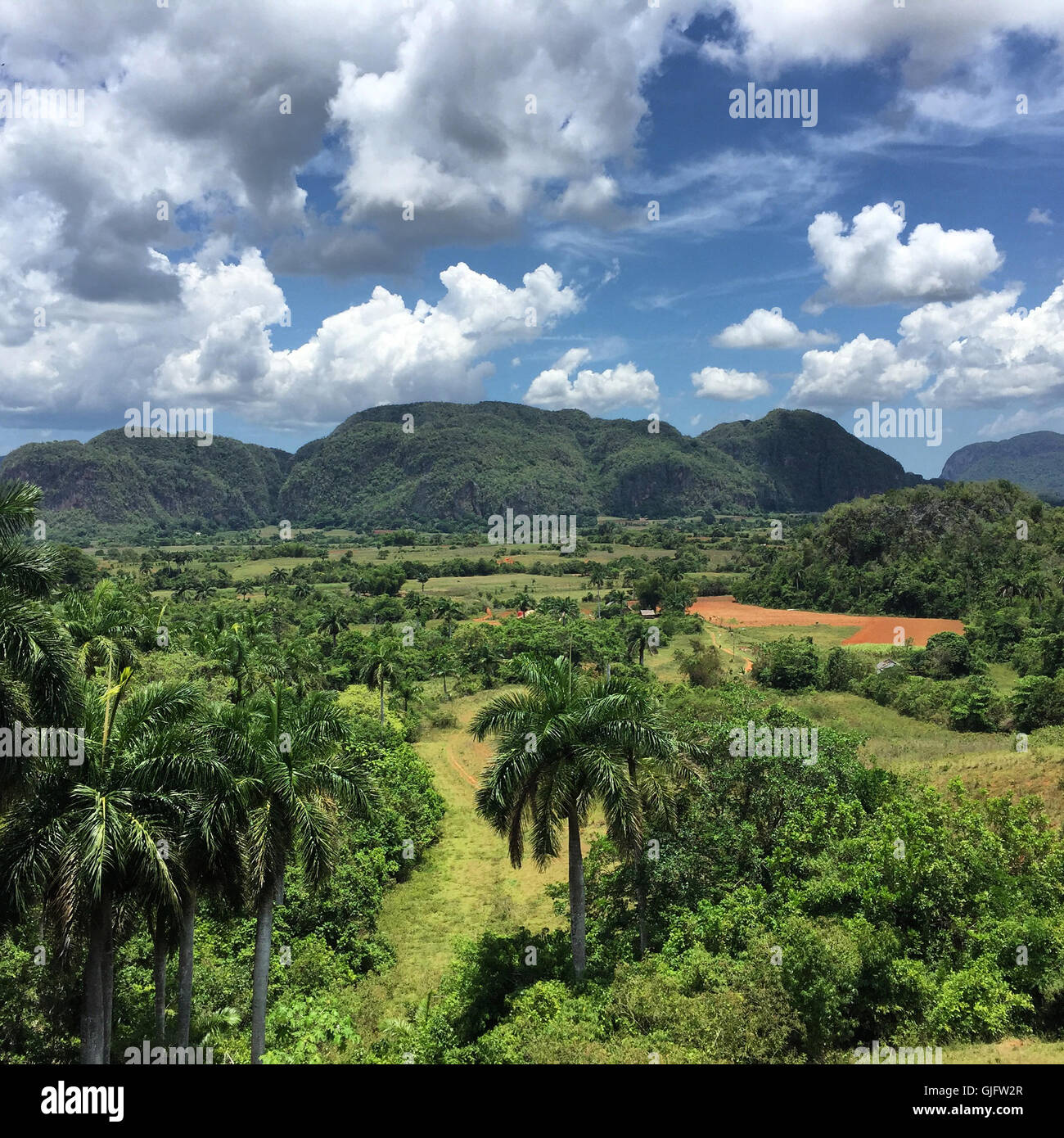Vinales valley cuba hi-res stock photography and images - Alamy