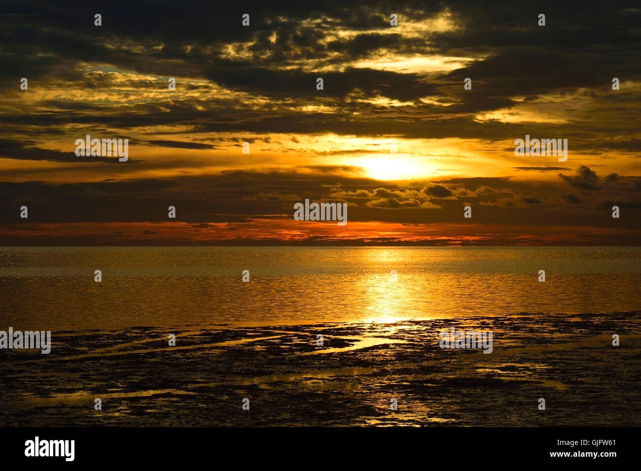 Beautiful sunset on the Gulf of Mexico,Florida Stock Photo - Alamy