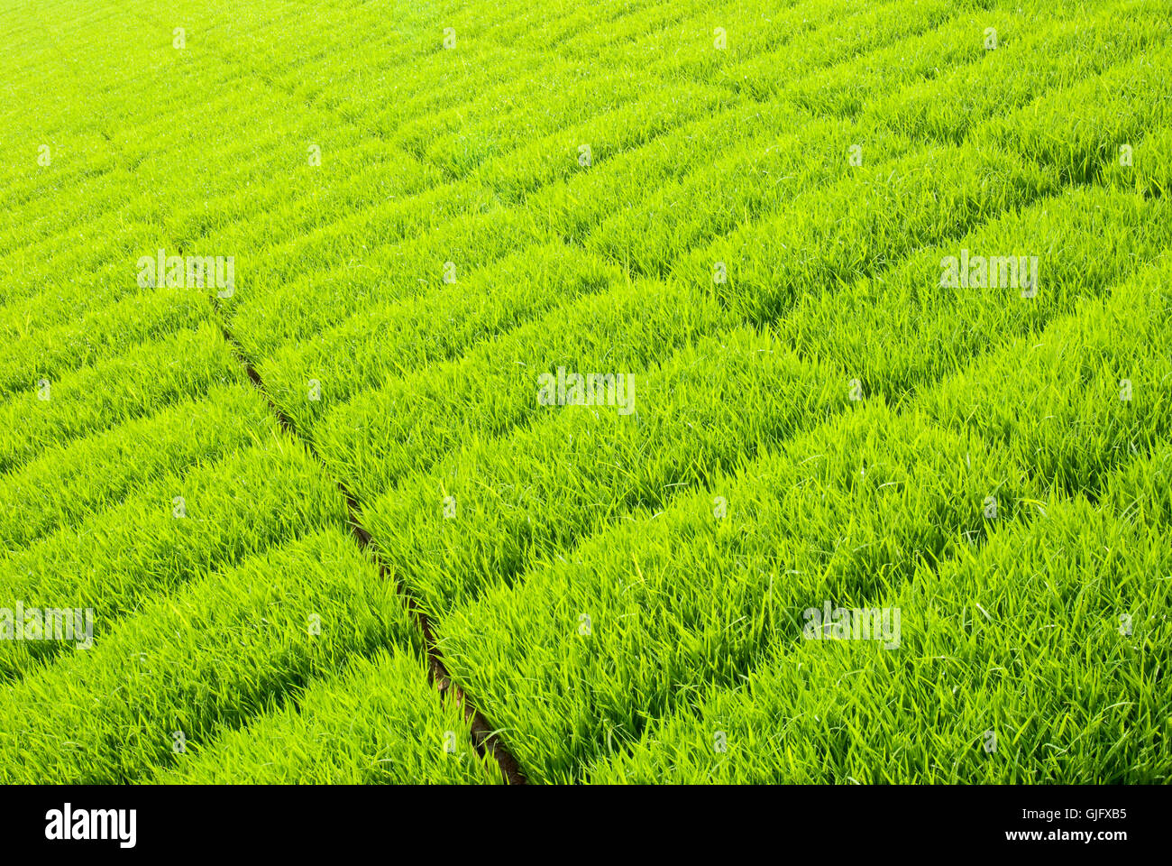 Beautiful agriculture land in hi-res stock photography and images - Alamy