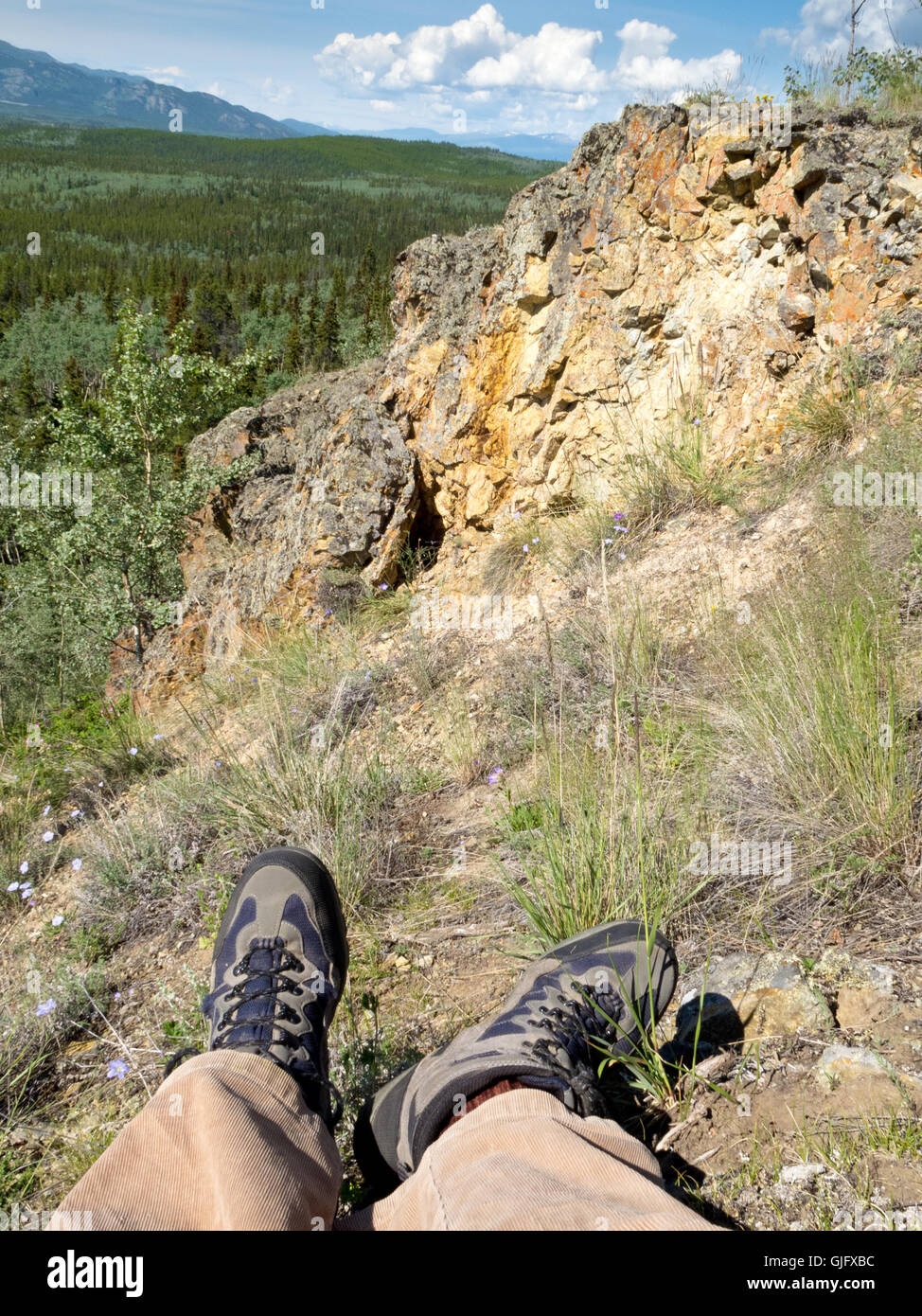 Hiking in boreal forest of Yukon Territory, Canada Stock Photo - Alamy