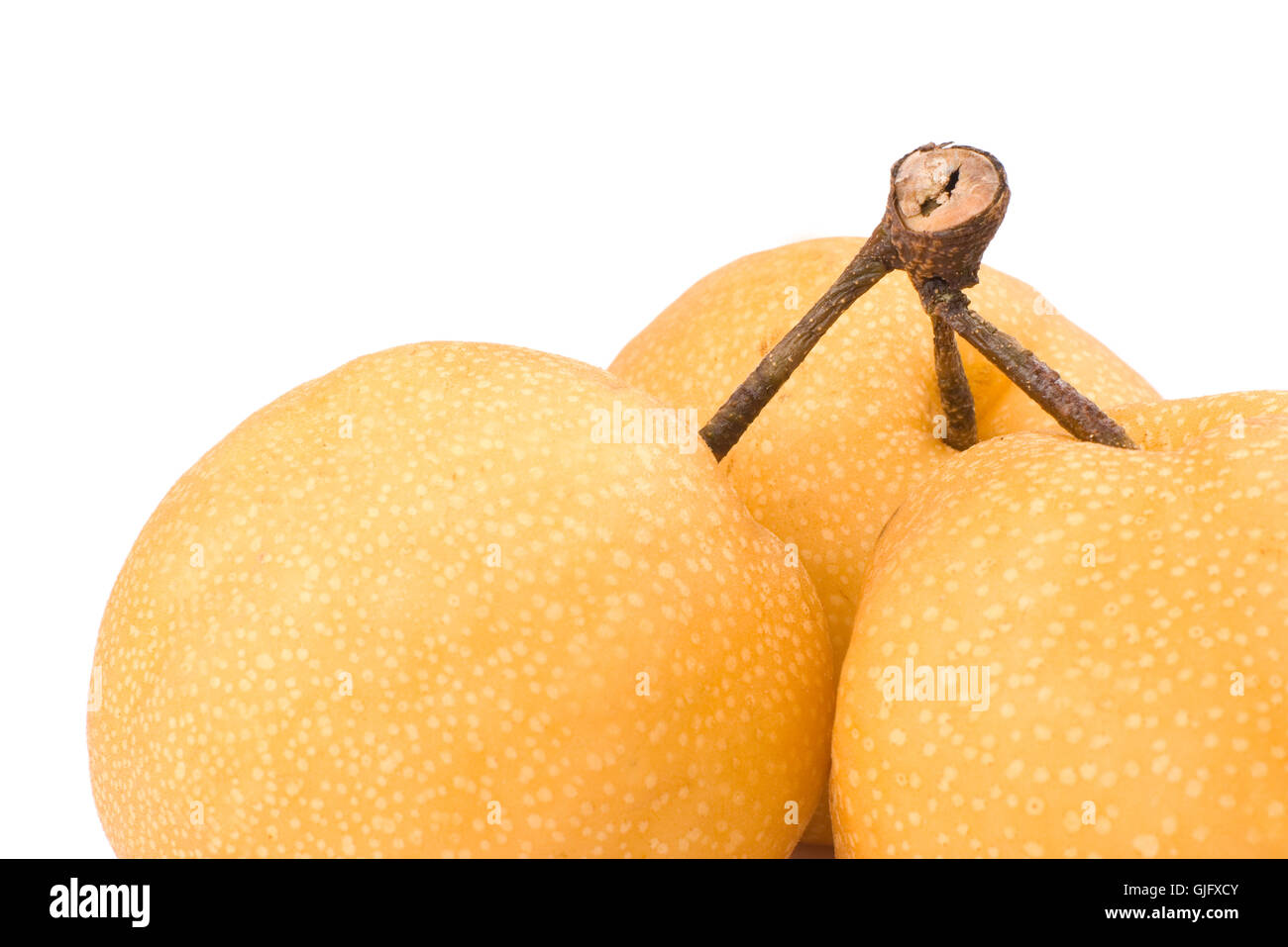 bunch of isolated asian-pear fruit with stem Stock Photo - Alamy