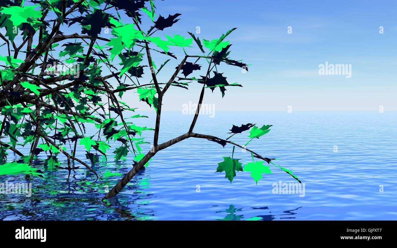 Maple tree and beautiful water Stock Photo - Alamy