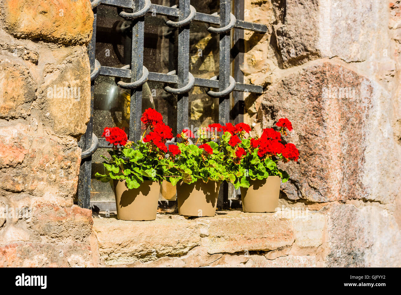 Jailed Clipart Flowers