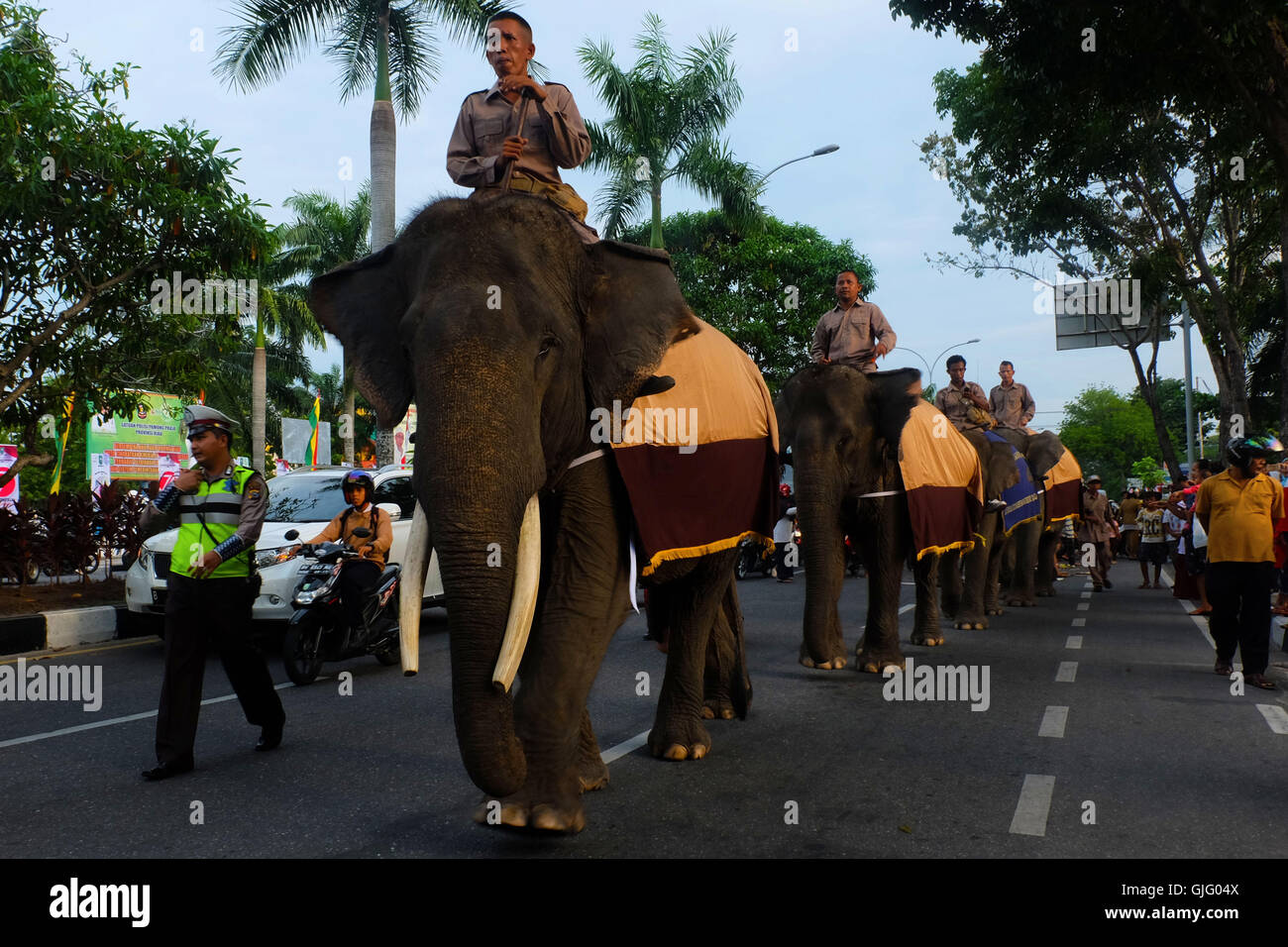 Pekanbaru, Riau, Indonesia, August 9, 2016 - Four elephants from The ...