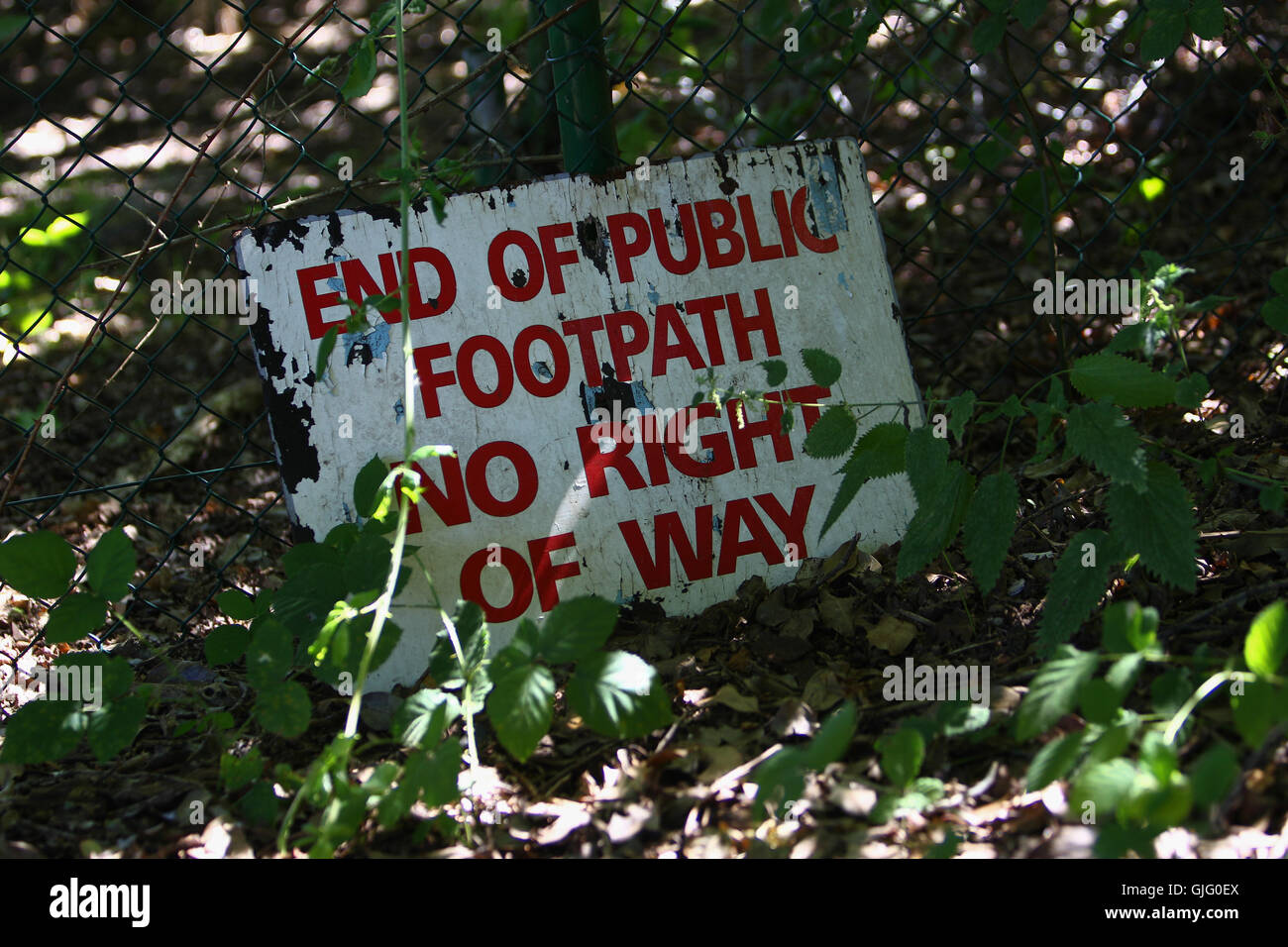 No right of way sign Stock Photo - Alamy