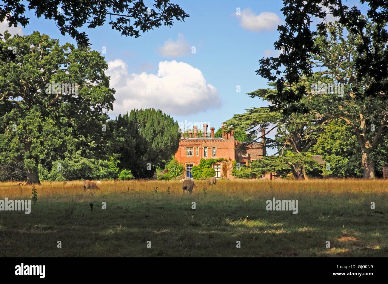 Intwood norfolk hi-res stock photography and images - Alamy