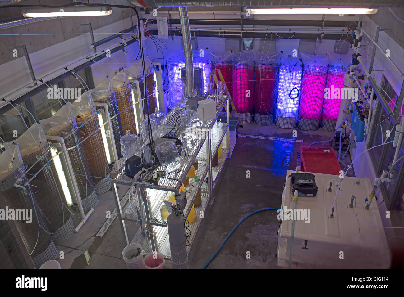 The Deep Bay Marine Field Station at Bowser on Vancouver Island SCO ...