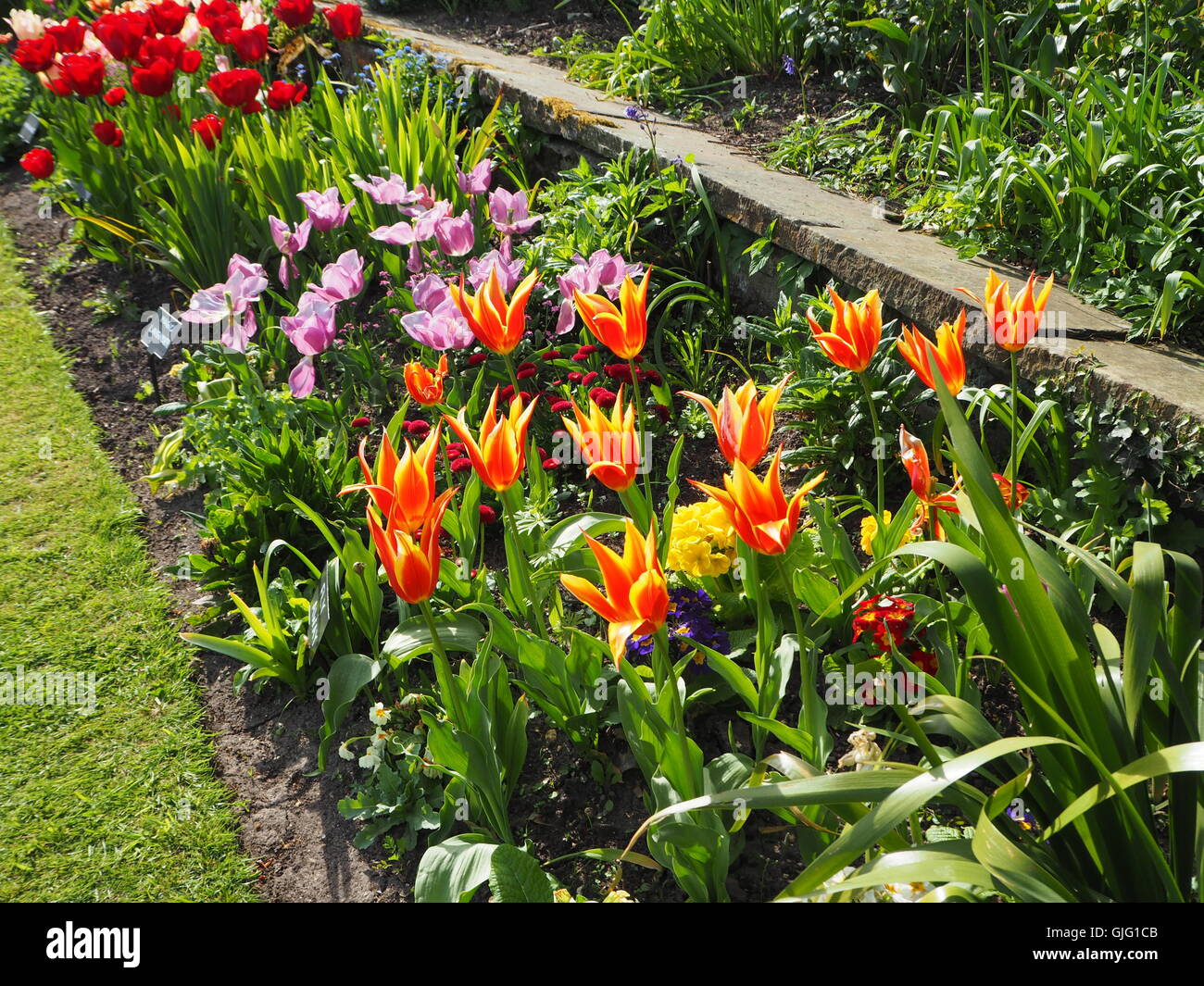 Spring border hi-res stock photography and images - Alamy