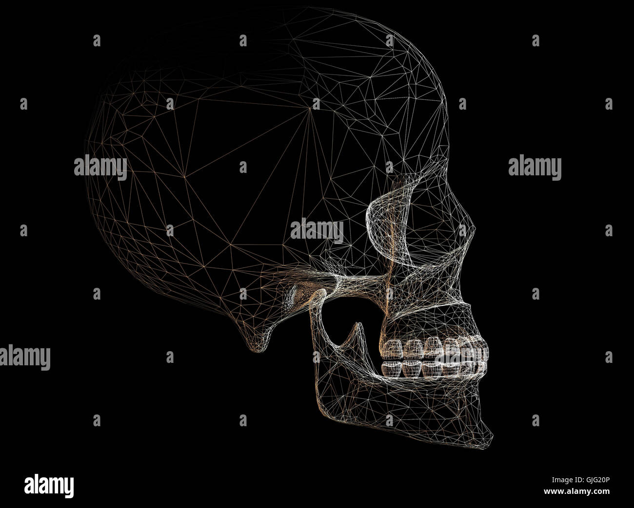 lines skull scaffold Stock Photo - Alamy