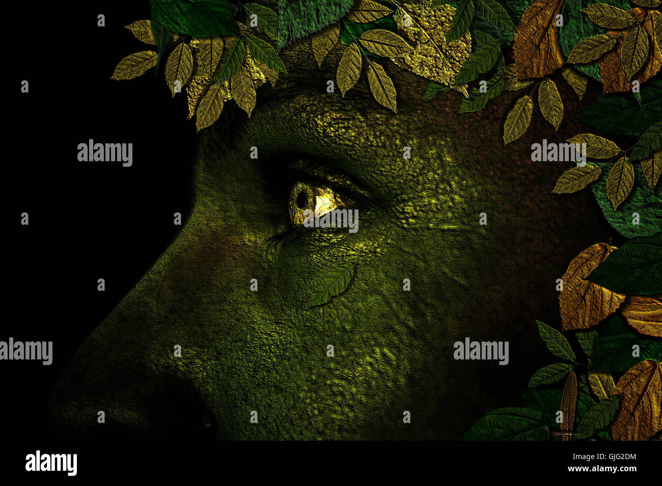 profile green leaves Stock Photo - Alamy
