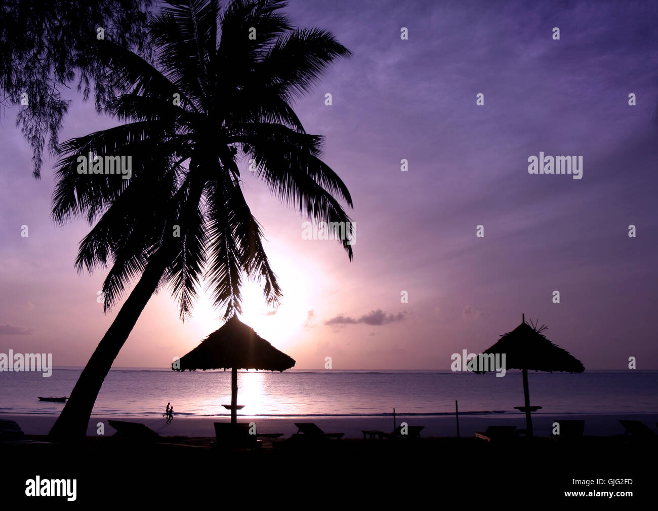 humans human beings people Stock Photo - Alamy