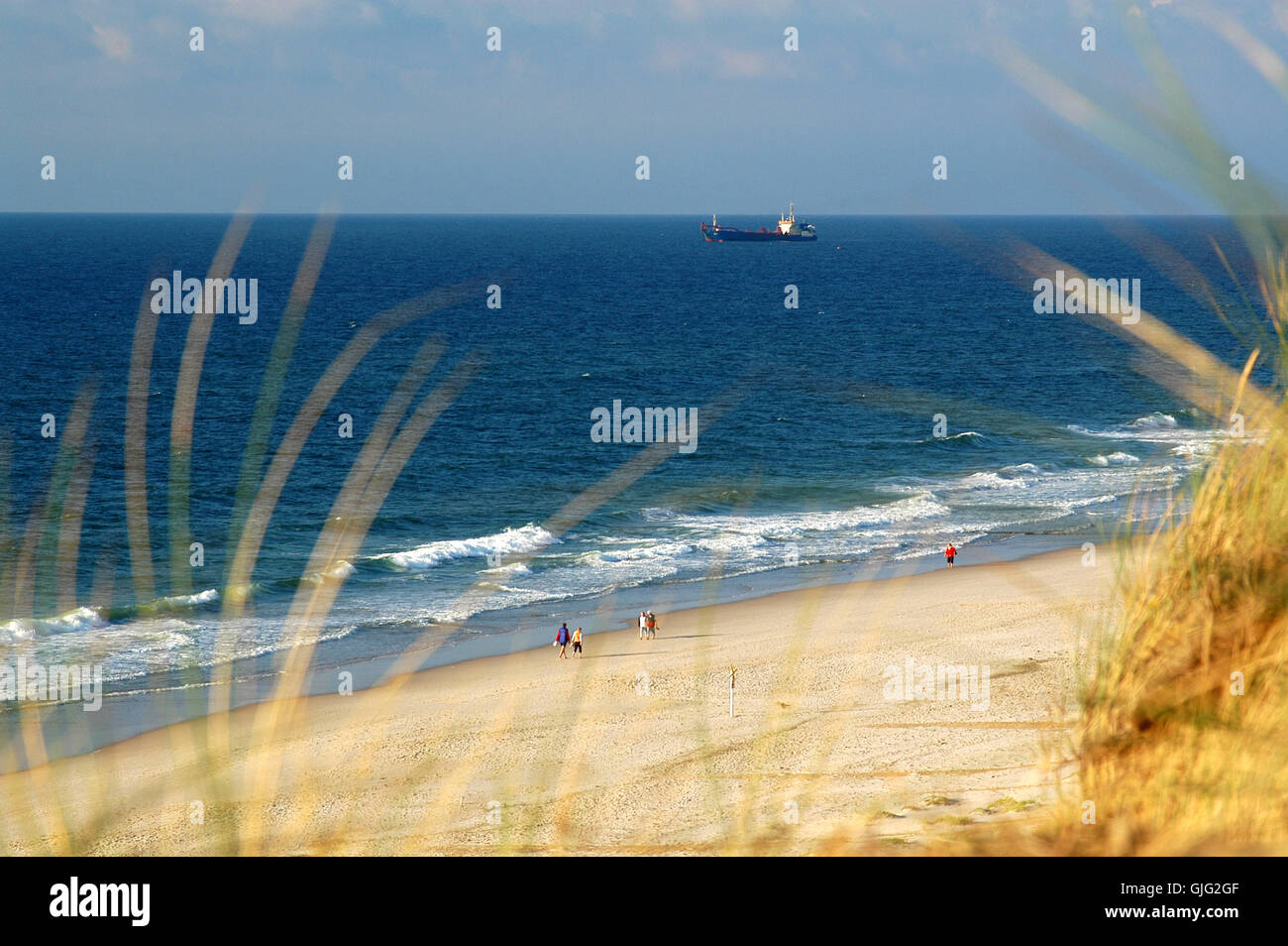 at the beach Stock Photo - Alamy