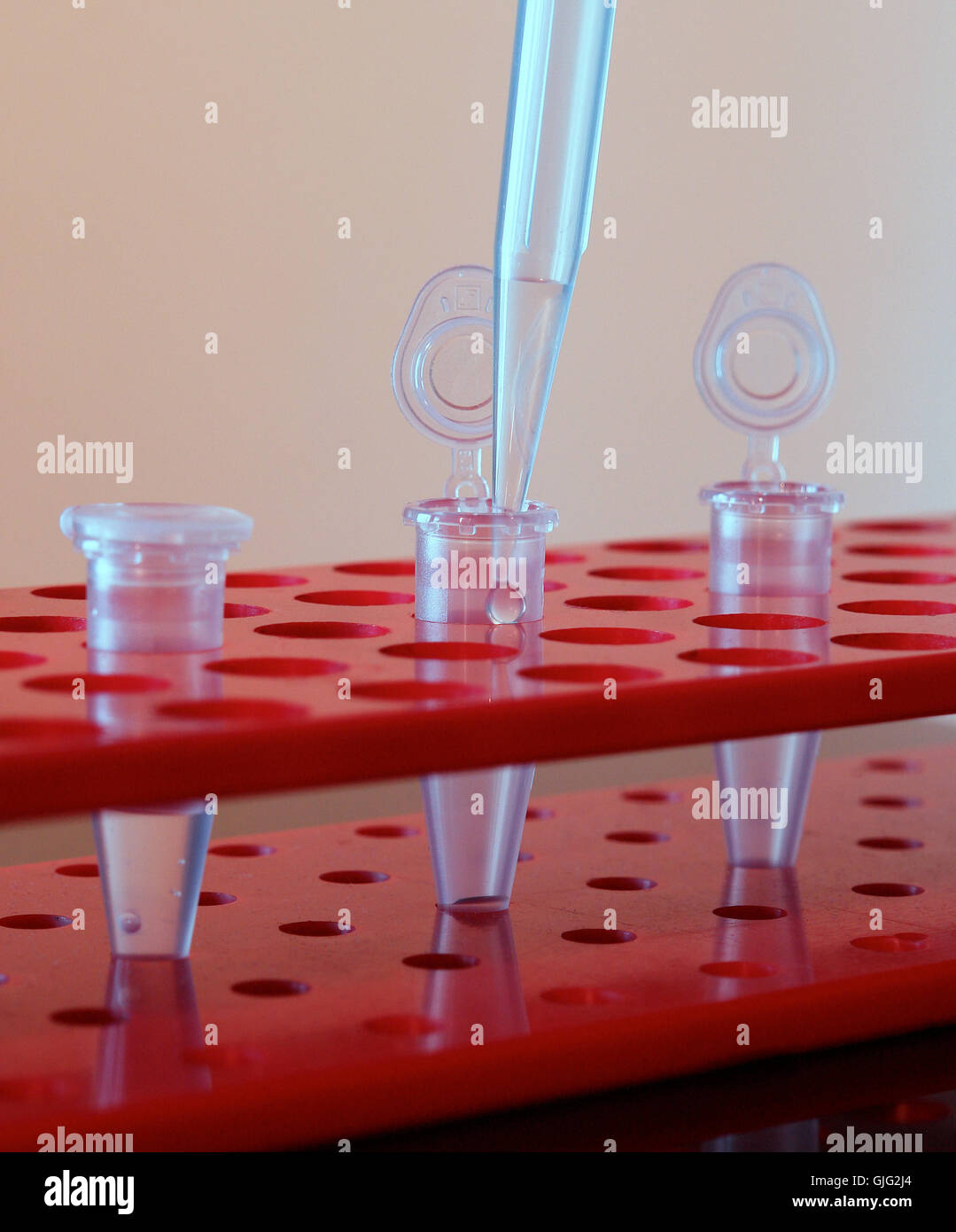 paper academic work science Stock Photo - Alamy