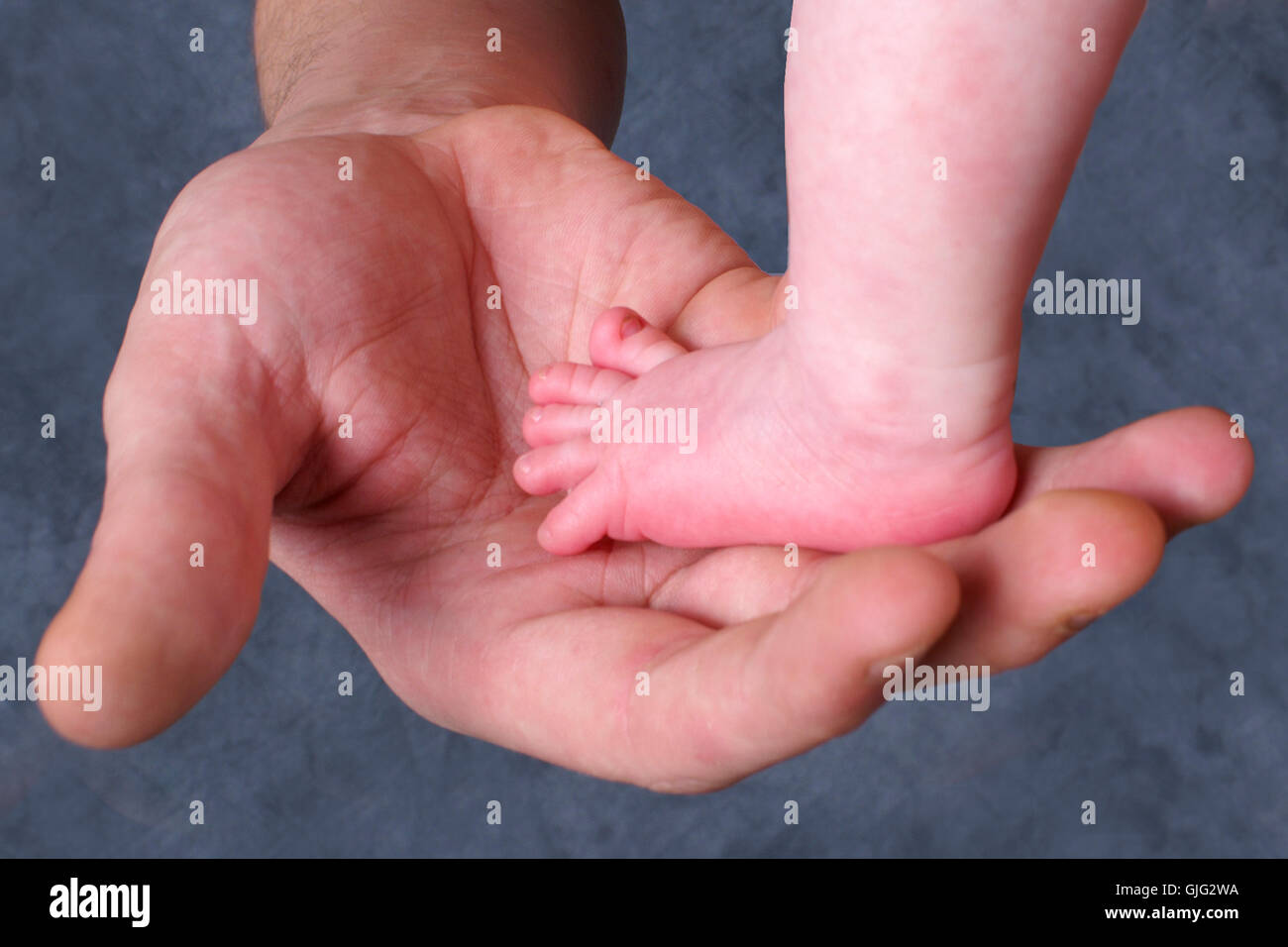 Littlefoot hi-res stock photography and images - Alamy