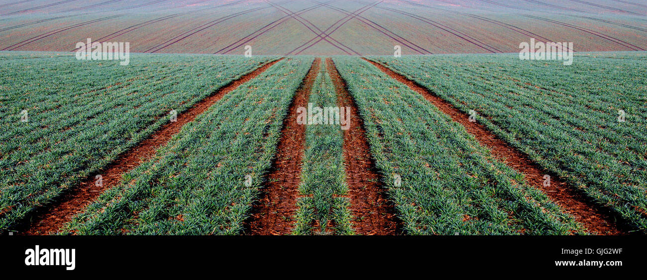 M farmer hi-res stock photography and images - Alamy