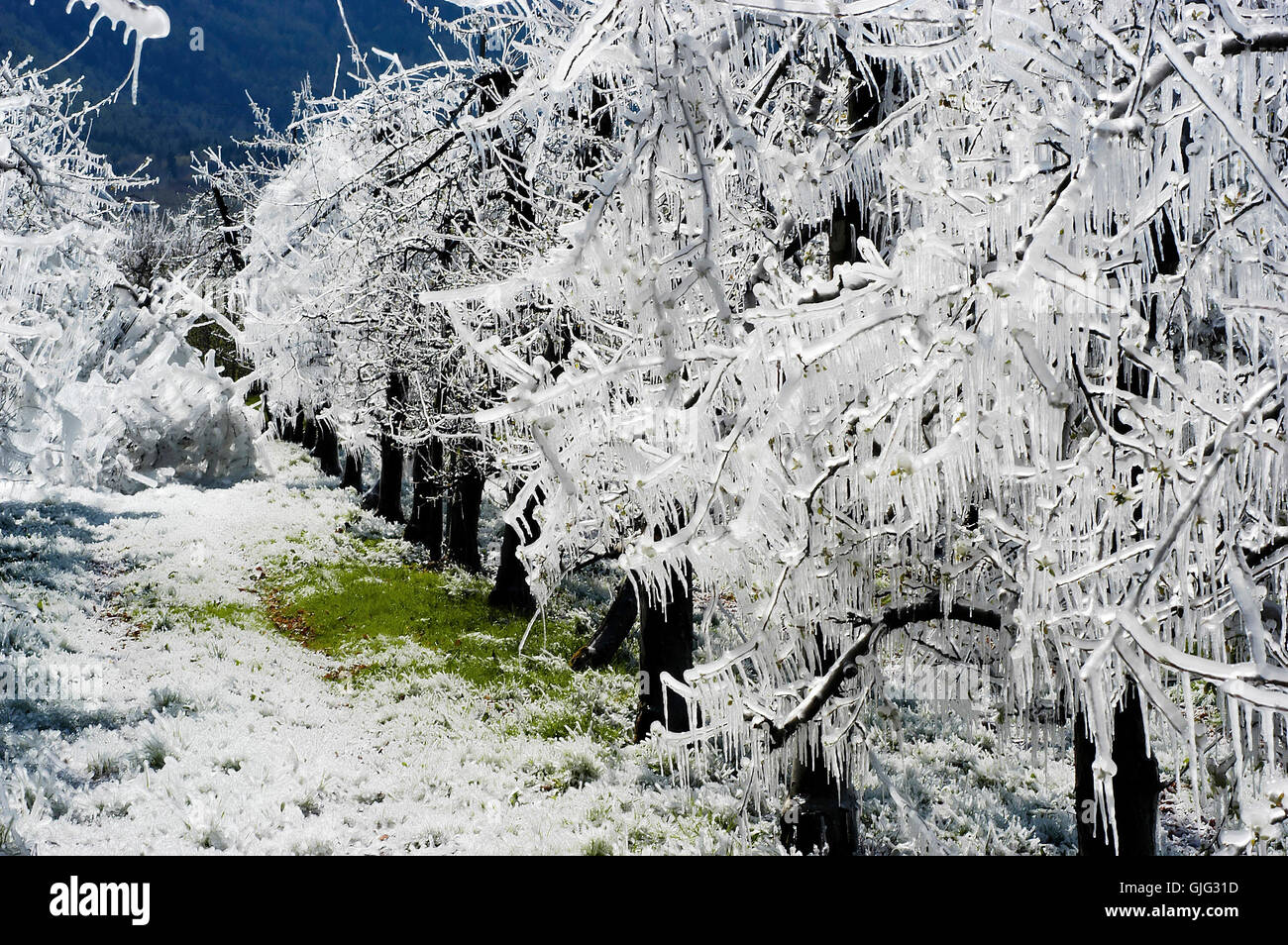cold agriculture farming Stock Photo - Alamy