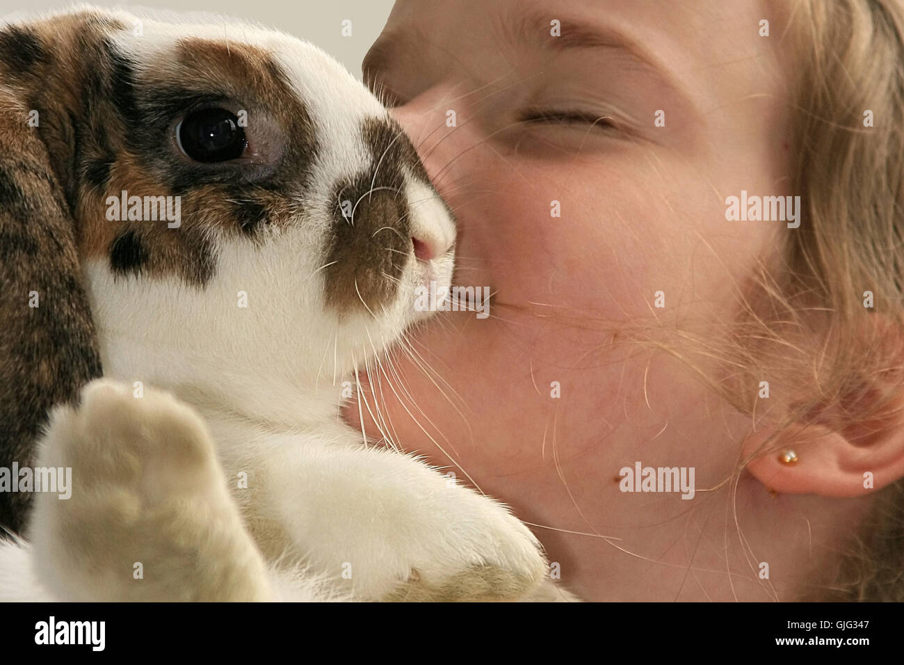 pet face rabbit Stock Photo - Alamy