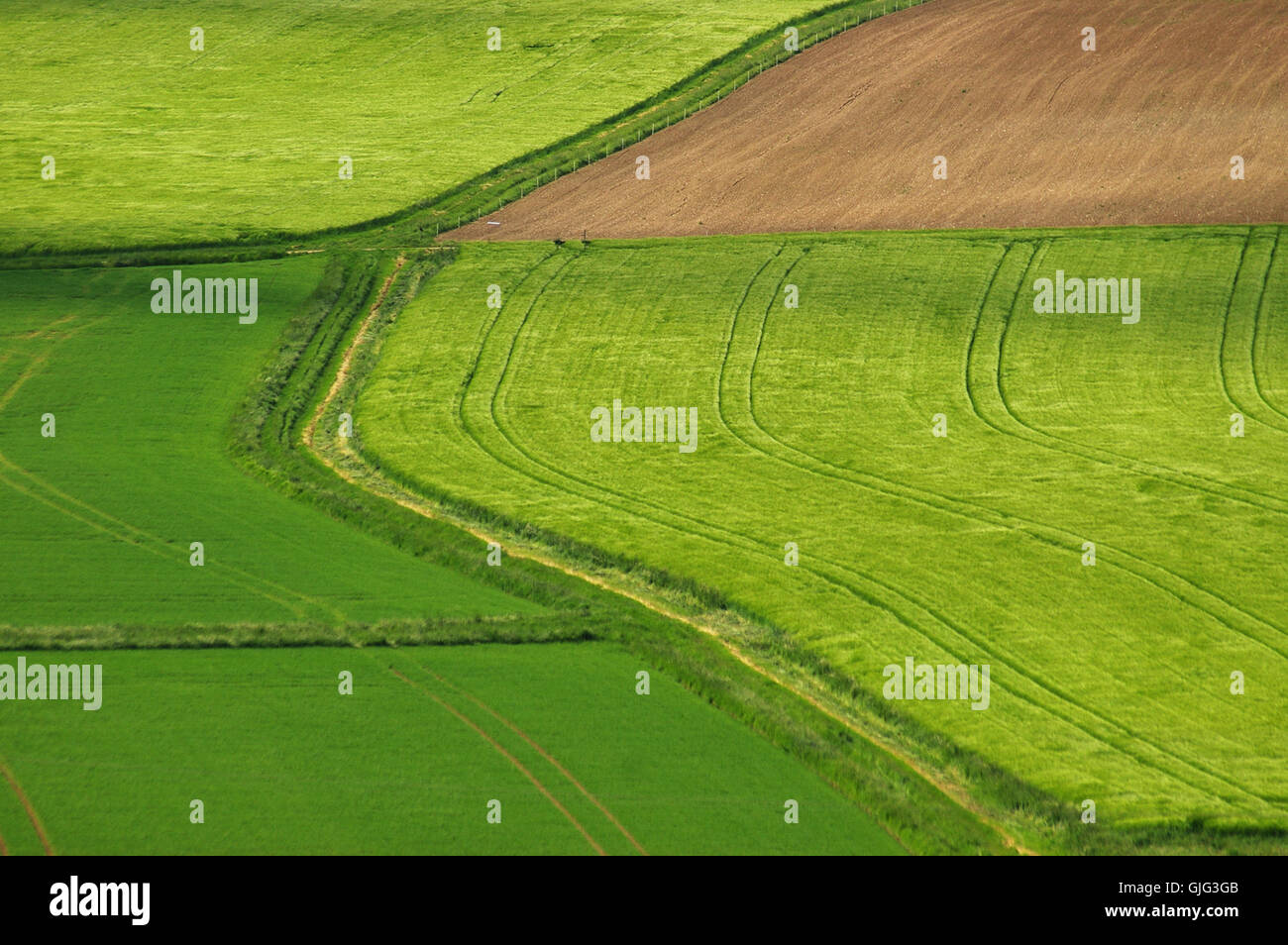 field and field Stock Photo - Alamy