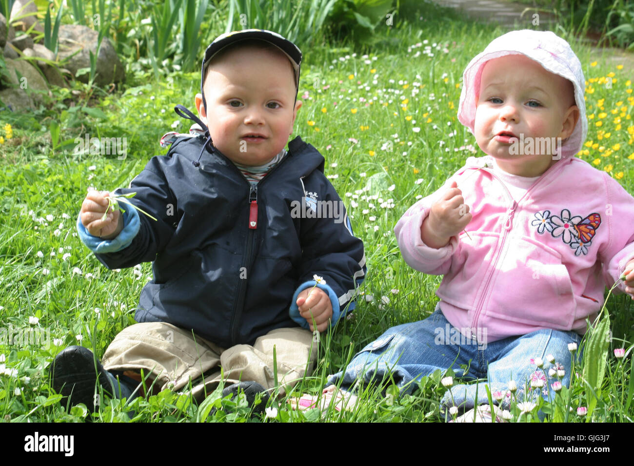laugh laughs laughing Stock Photo - Alamy