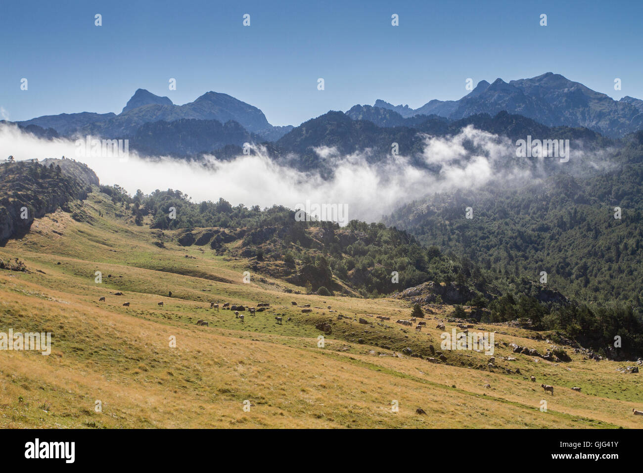 Larra Belagua High Resolution Stock Photography and Images - Alamy