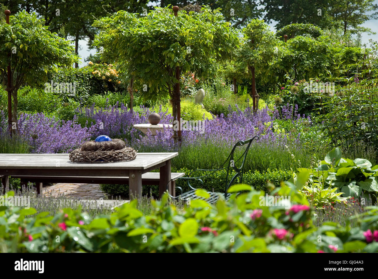 tree trees garden Stock Photo - Alamy