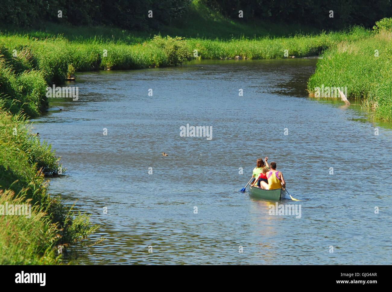 woman drive humans Stock Photo - Alamy