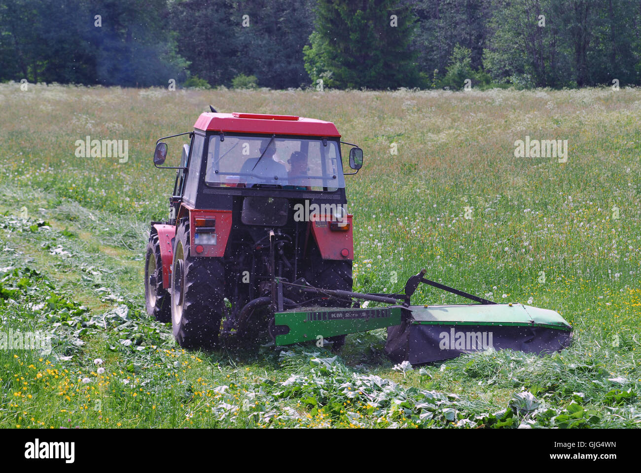 drive fodder agriculture Stock Photo - Alamy