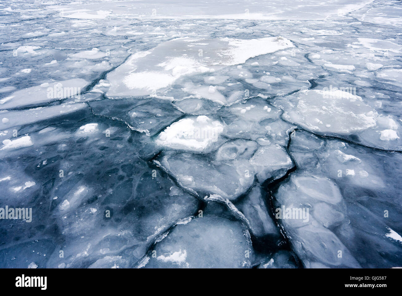 Polar plaice hi-res stock photography and images - Alamy