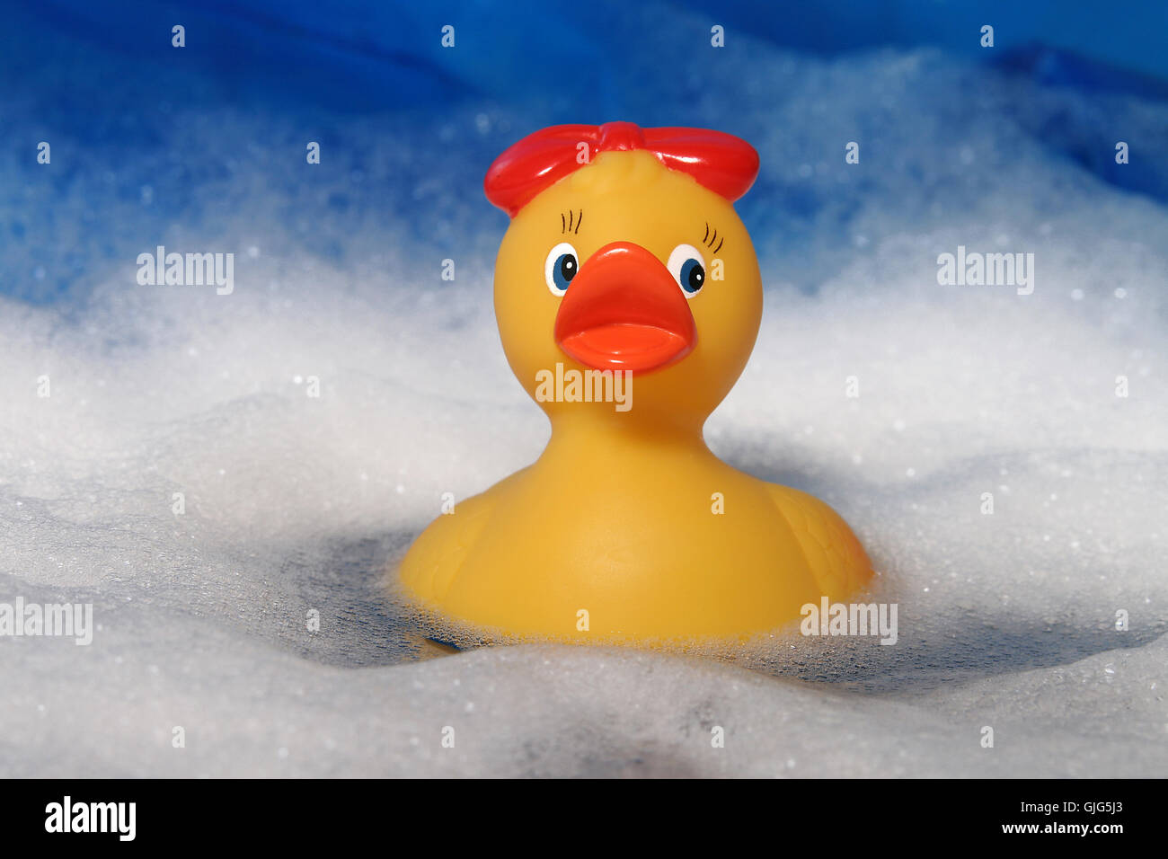 Orange gummiente hi-res stock photography and images - Alamy