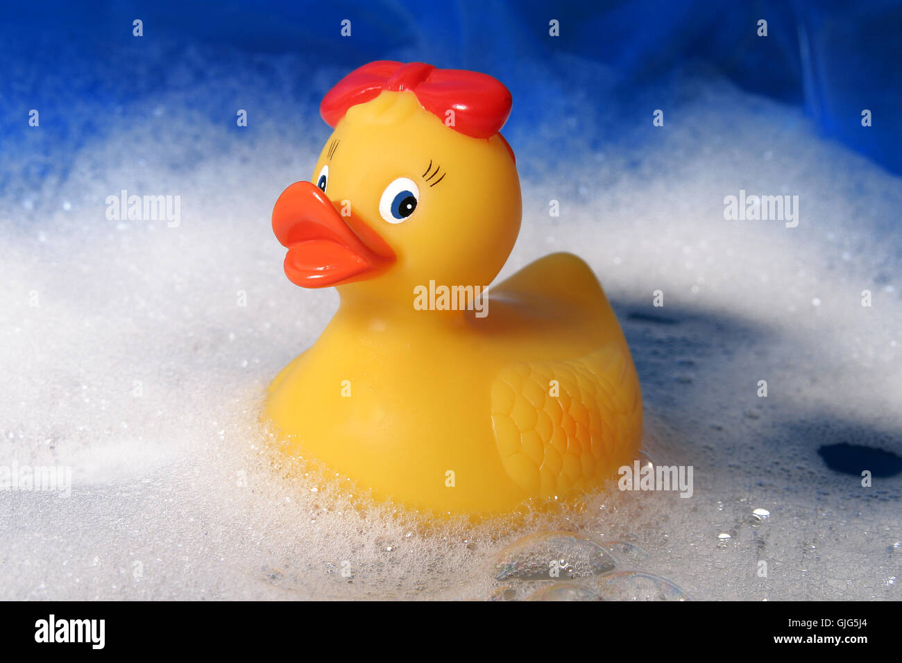 Quietscheente hi-res stock photography and images - Alamy
