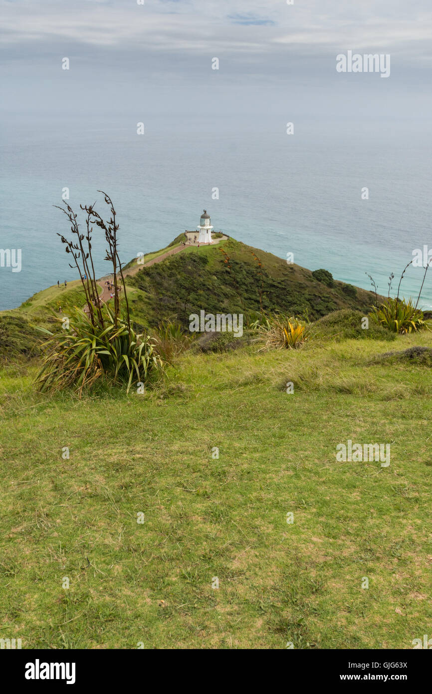 North island cape reinga signpost hi-res stock photography and images ...
