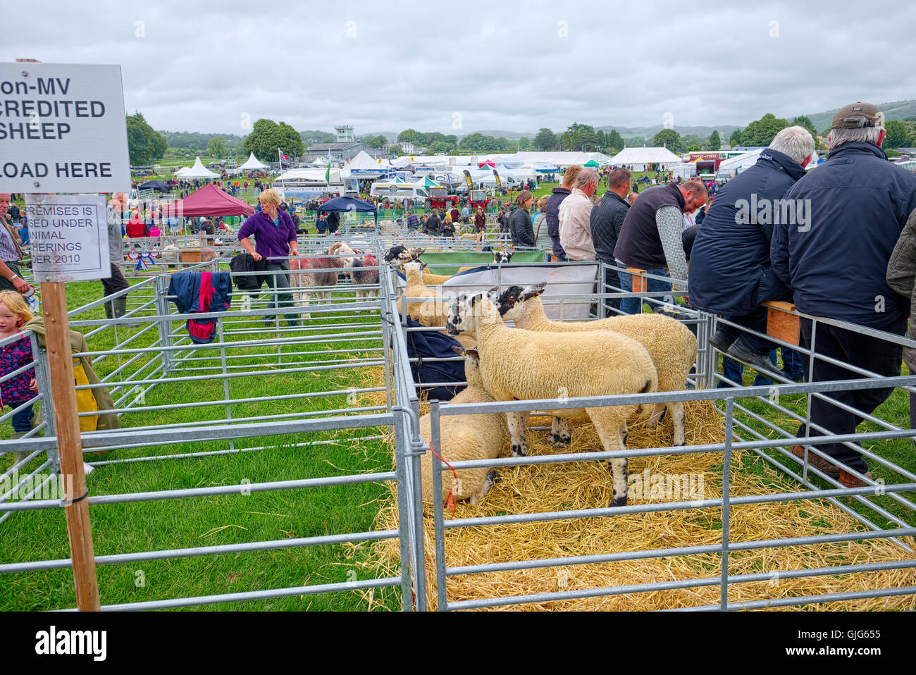 Cartmel Show 2016 Stock Photo - Alamy