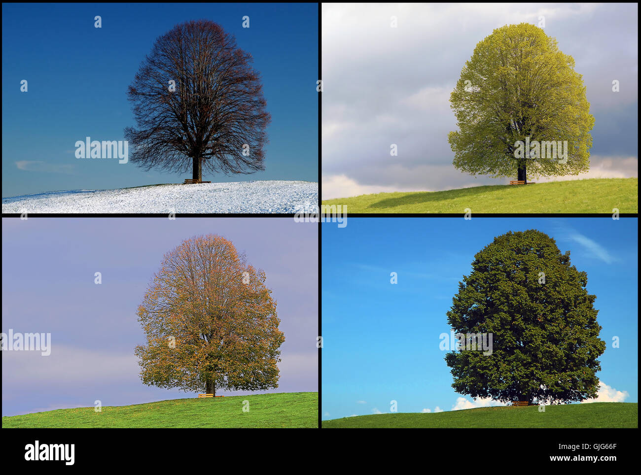 Linde circle hi-res stock photography and images - Alamy