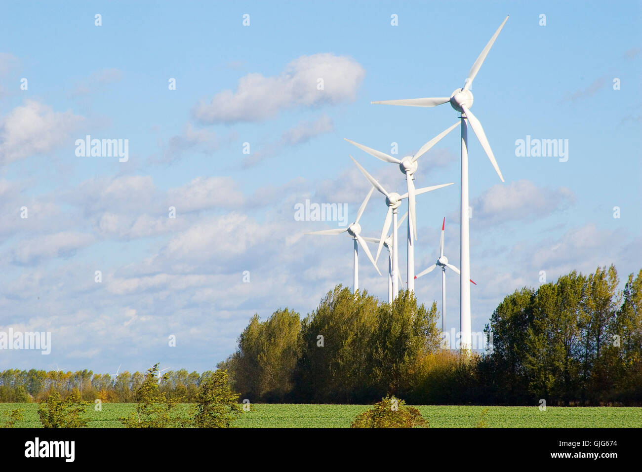 Windflugel hi-res stock photography and images - Alamy