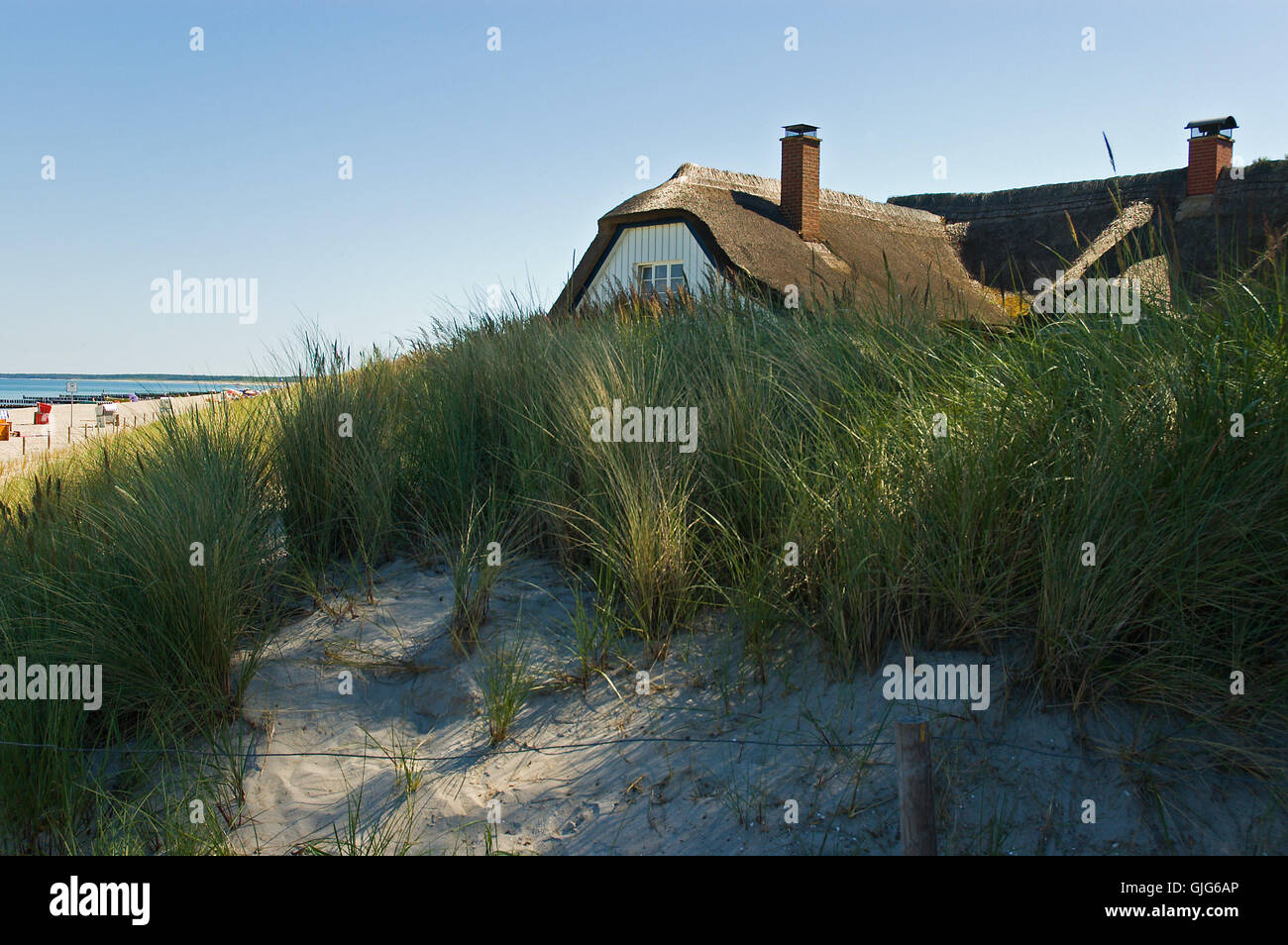 blue humans human beings Stock Photo - Alamy
