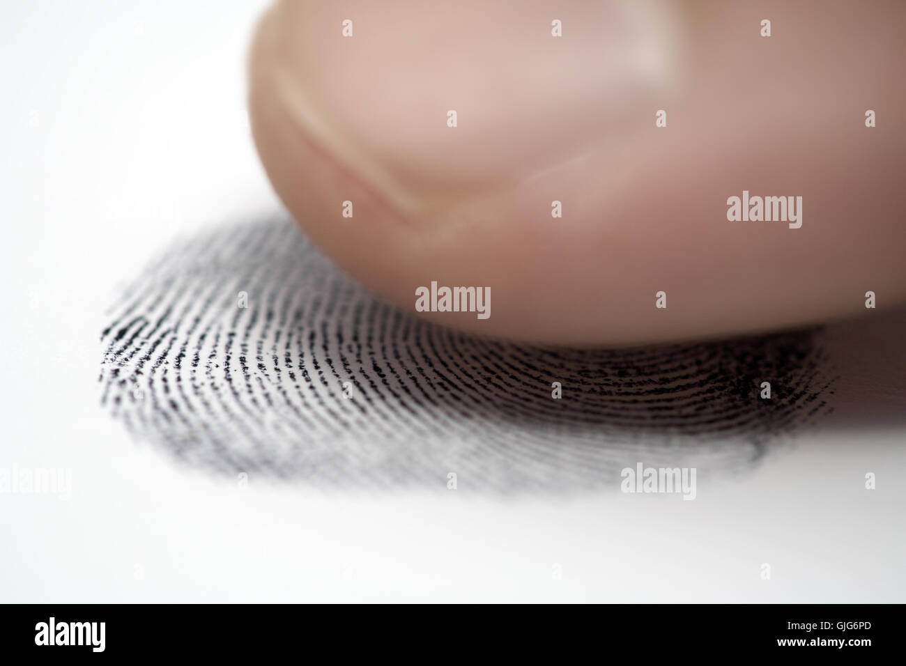 finger lines stamp Stock Photo - Alamy