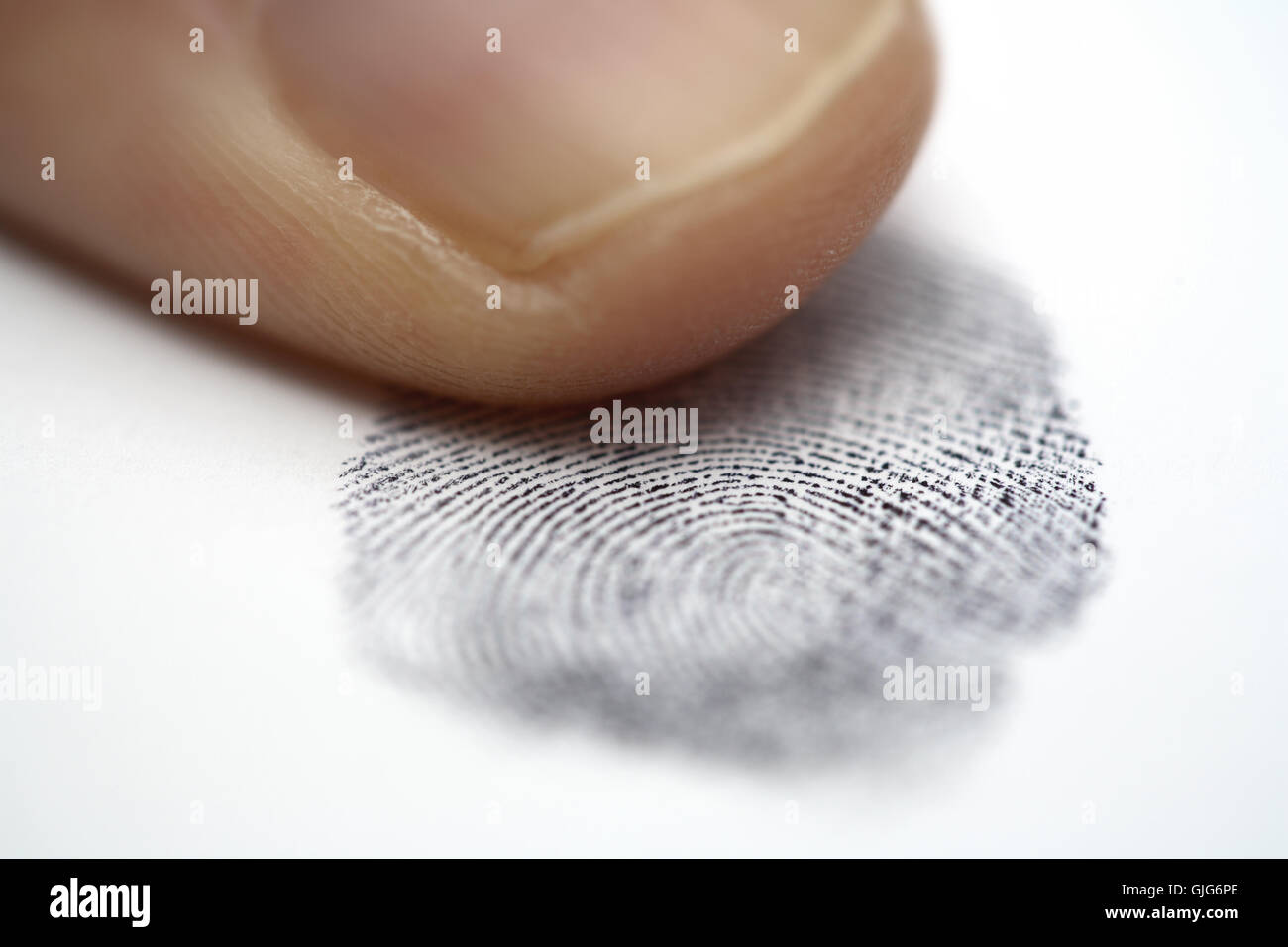 finger lines stamp Stock Photo - Alamy