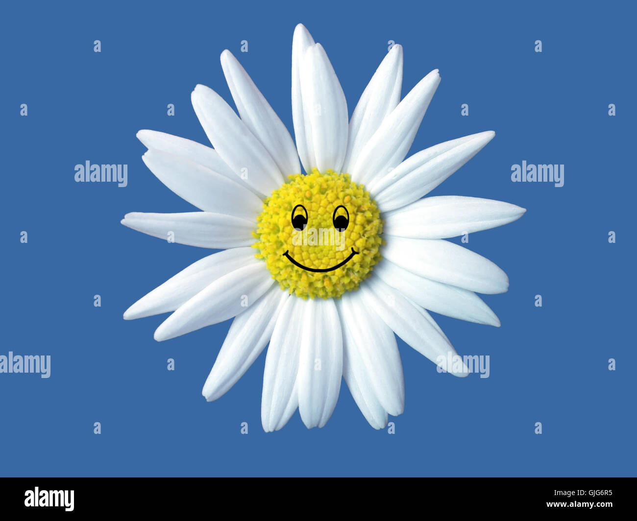 blue laugh laughs Stock Photo - Alamy