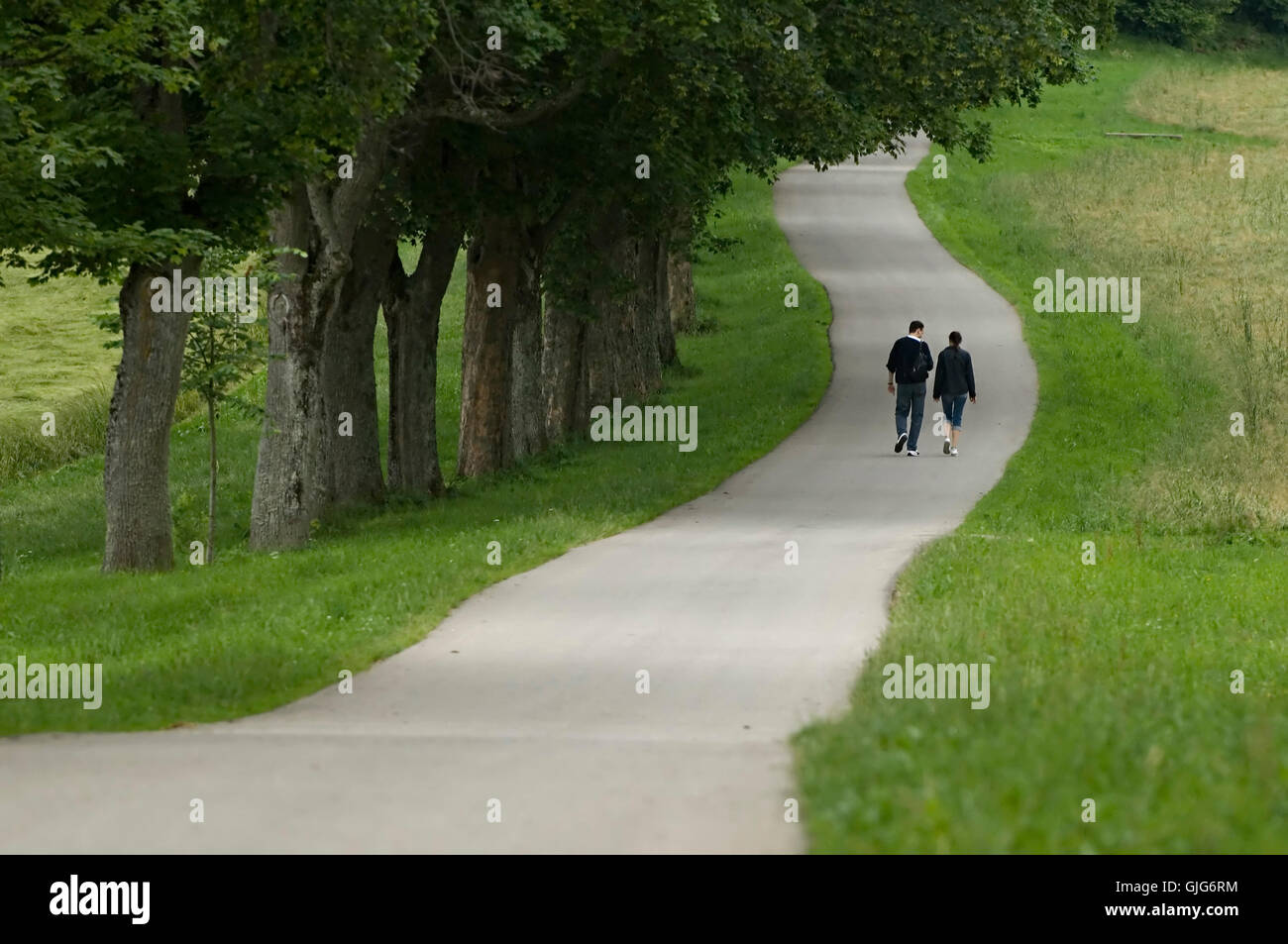 Conjoined Trees Stock Photos & Conjoined Trees Stock Images - Alamy