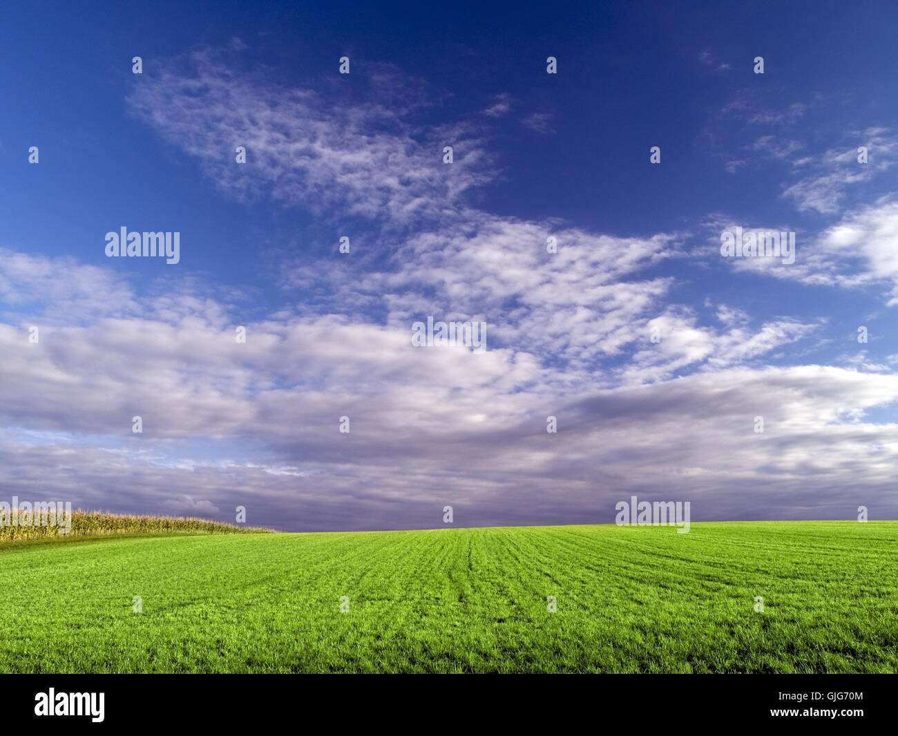 green agriculture farming Stock Photo - Alamy