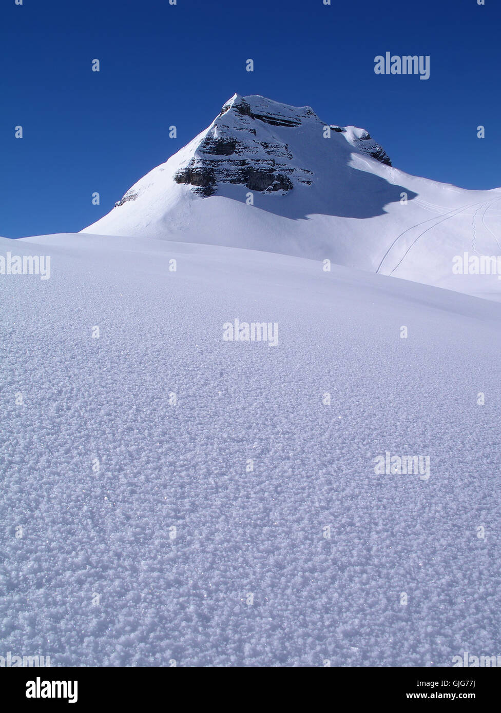 White week hi-res stock photography and images - Alamy