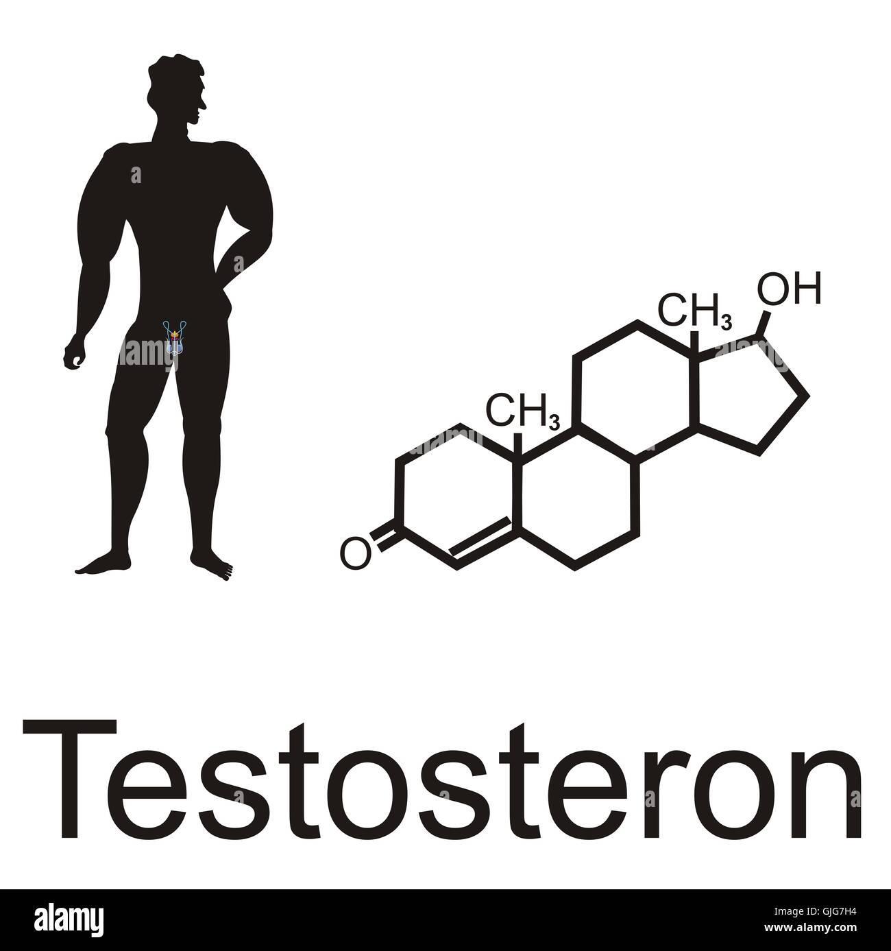 Male testicle hi-res stock photography and images - Alamy