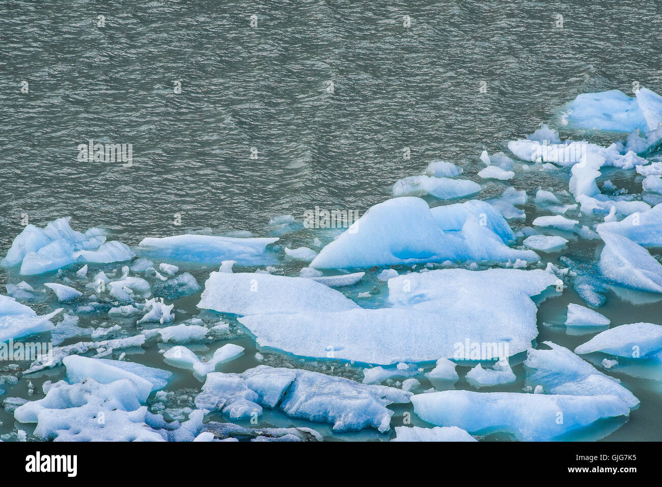 Melting blue ice floes in the water in the Argentine Patagonia Stock ...