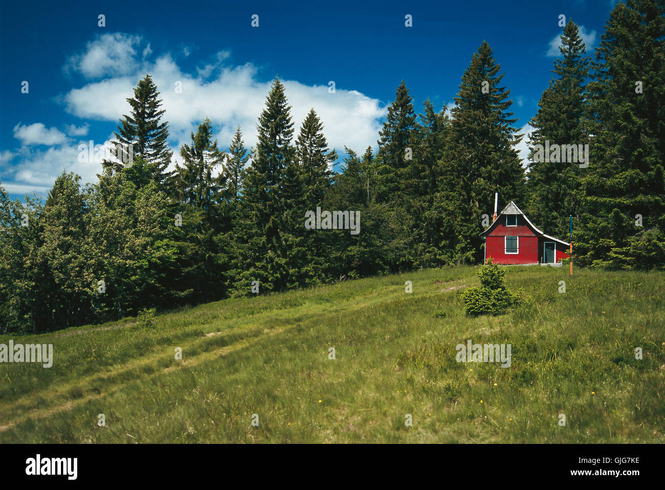 blue house building Stock Photo - Alamy
