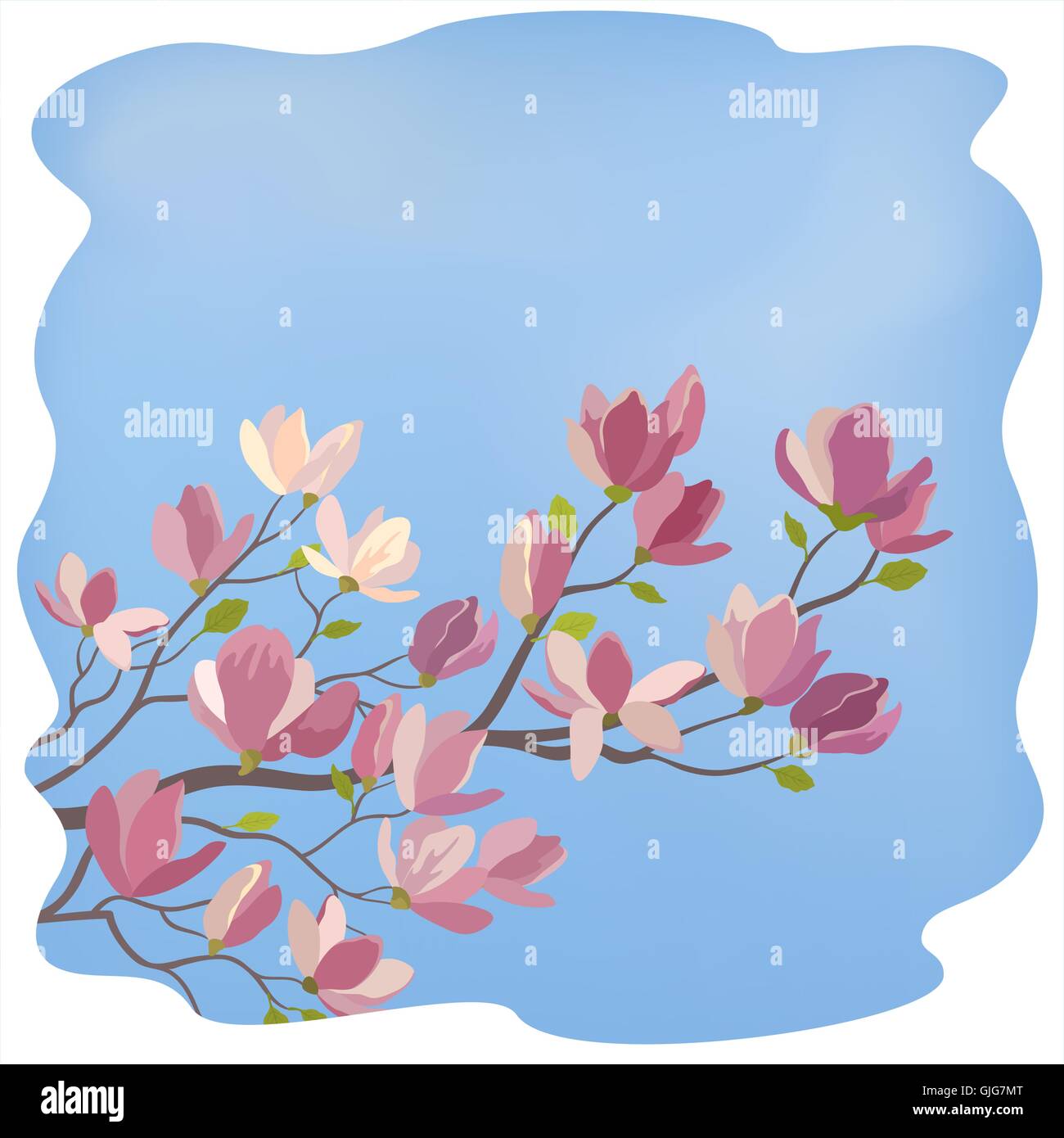 White pink magnolia tree Stock Vector Images - Alamy