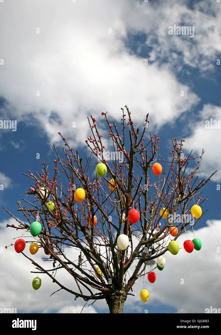 Osterbaum High Resolution Stock Photography and Images - Alamy