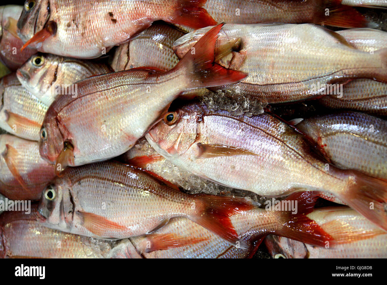 fish water mediterranean Stock Photo - Alamy