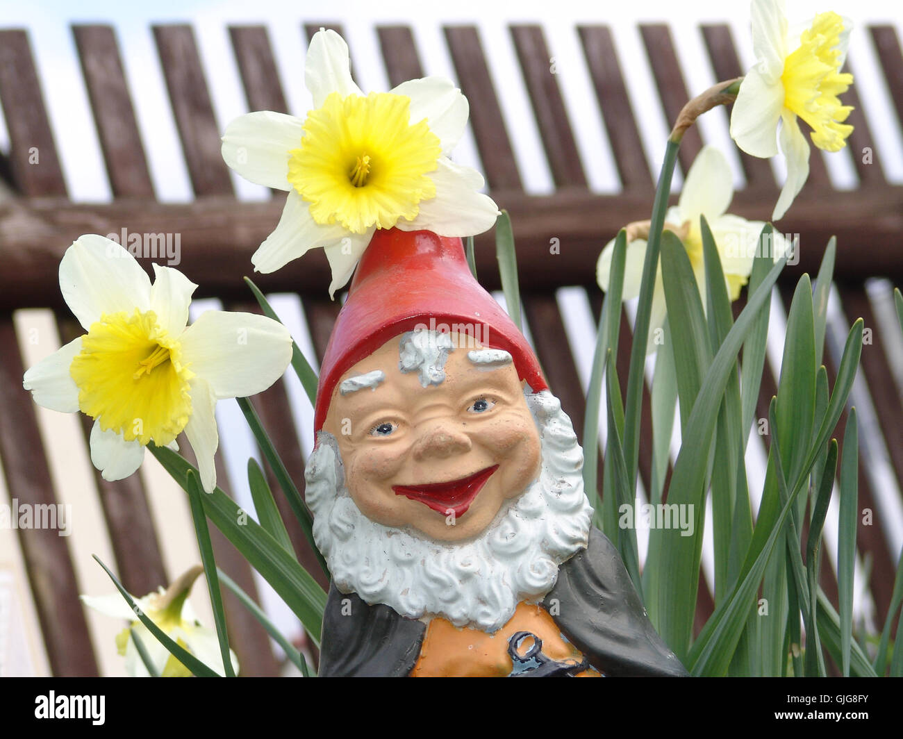 worms eye garden flower Stock Photo - Alamy
