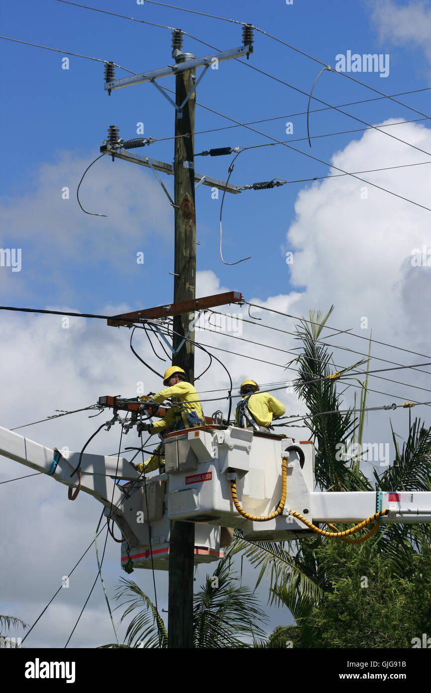 Power pole palm tree hi-res stock photography and images - Alamy